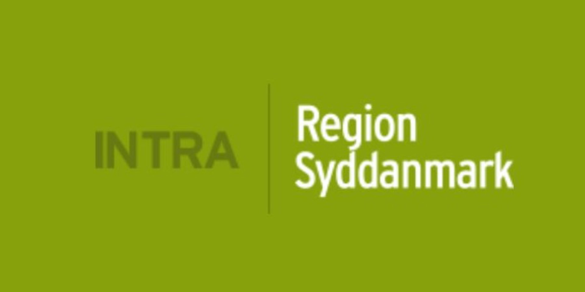 Region Syddanmarks Feriefond