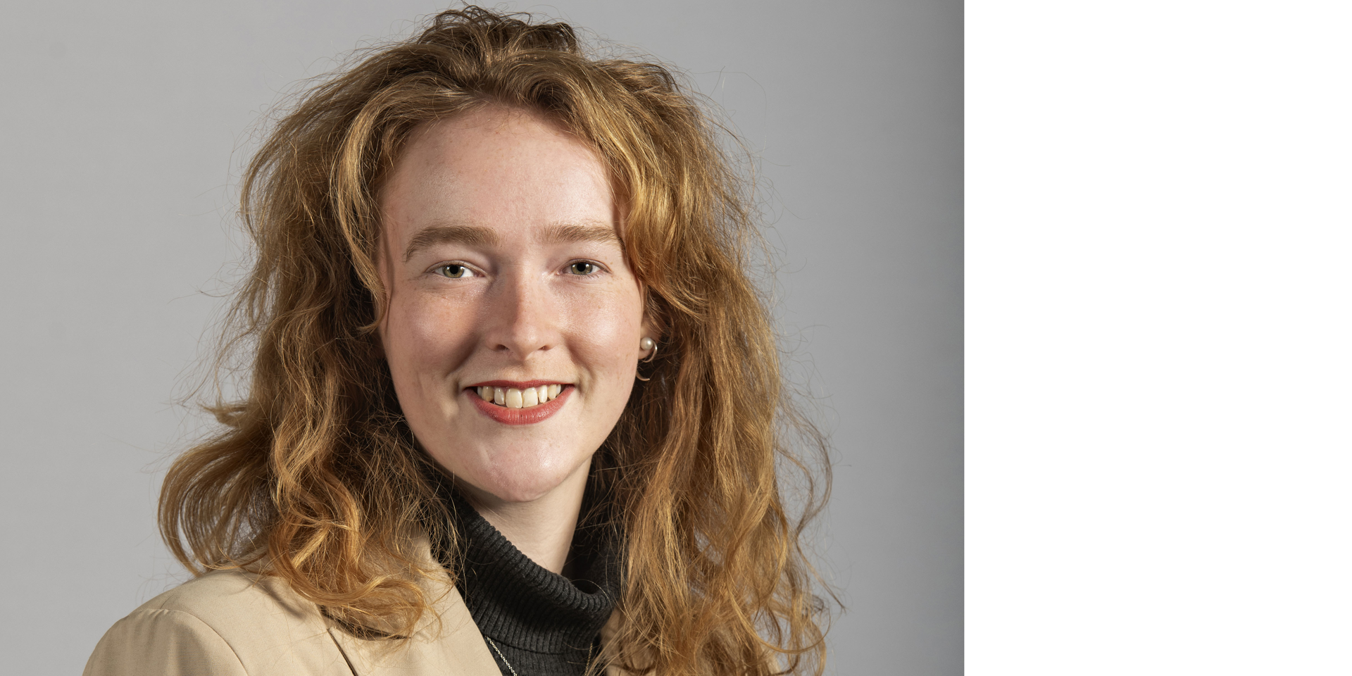 Anne Skau Styrishave, Radikale Venstre