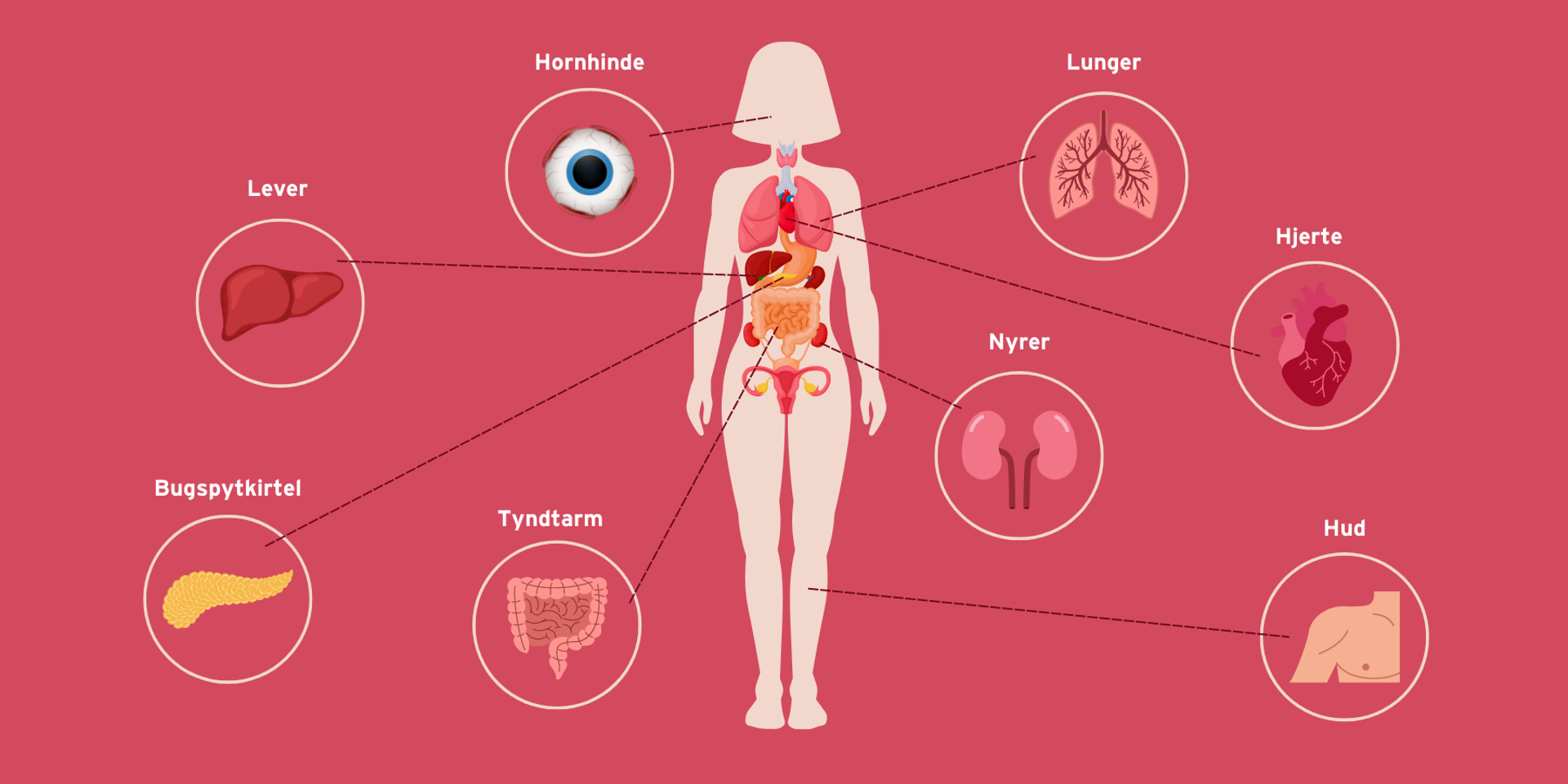 Sådan tager du stilling til organdonation
